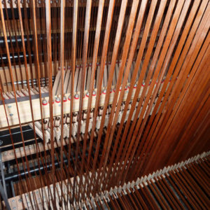 Glossary – Harrison & Harrison Ltd